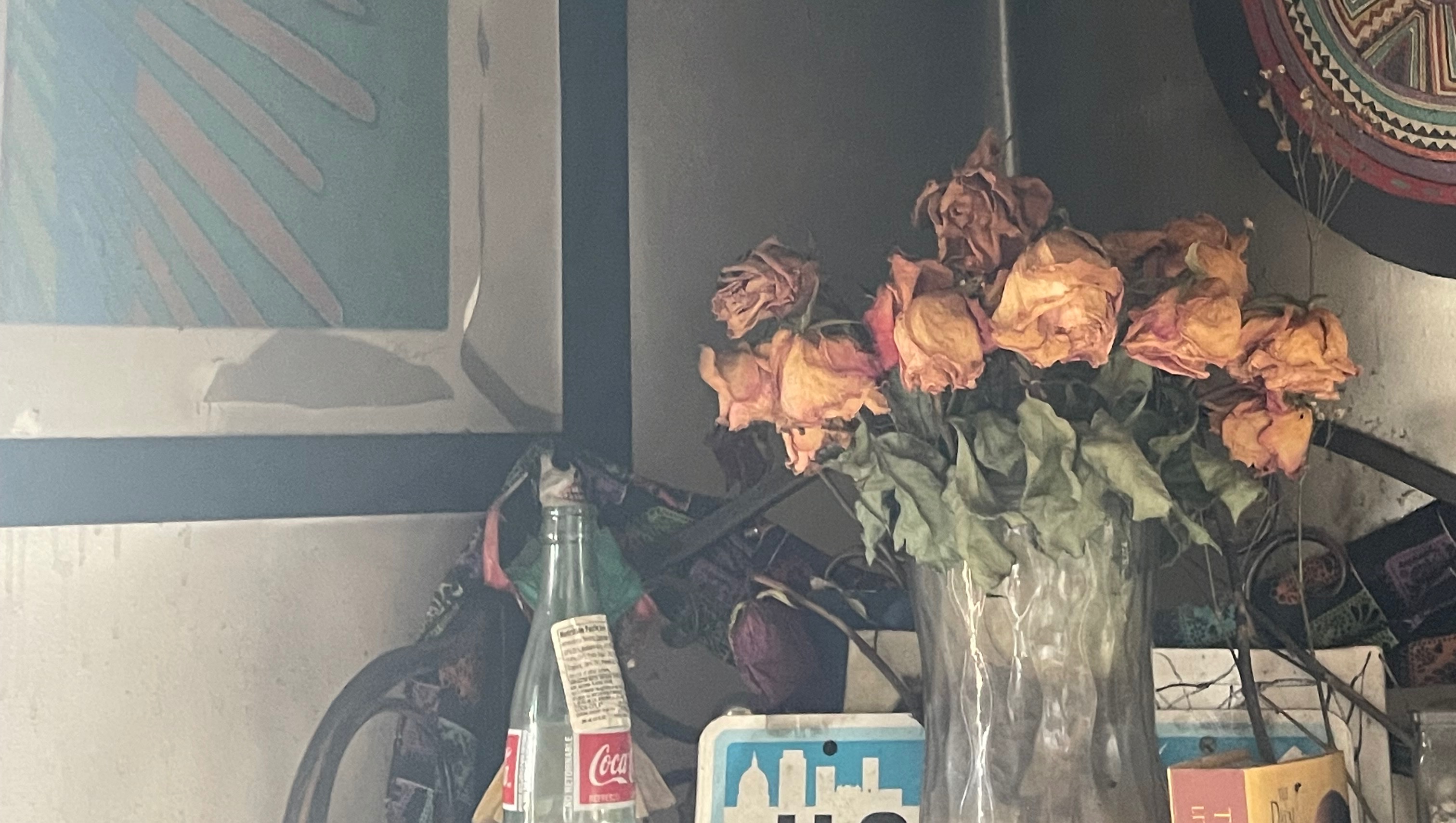 Raccolta fondi di Sara Raney : Major House Fire Recovery Fund