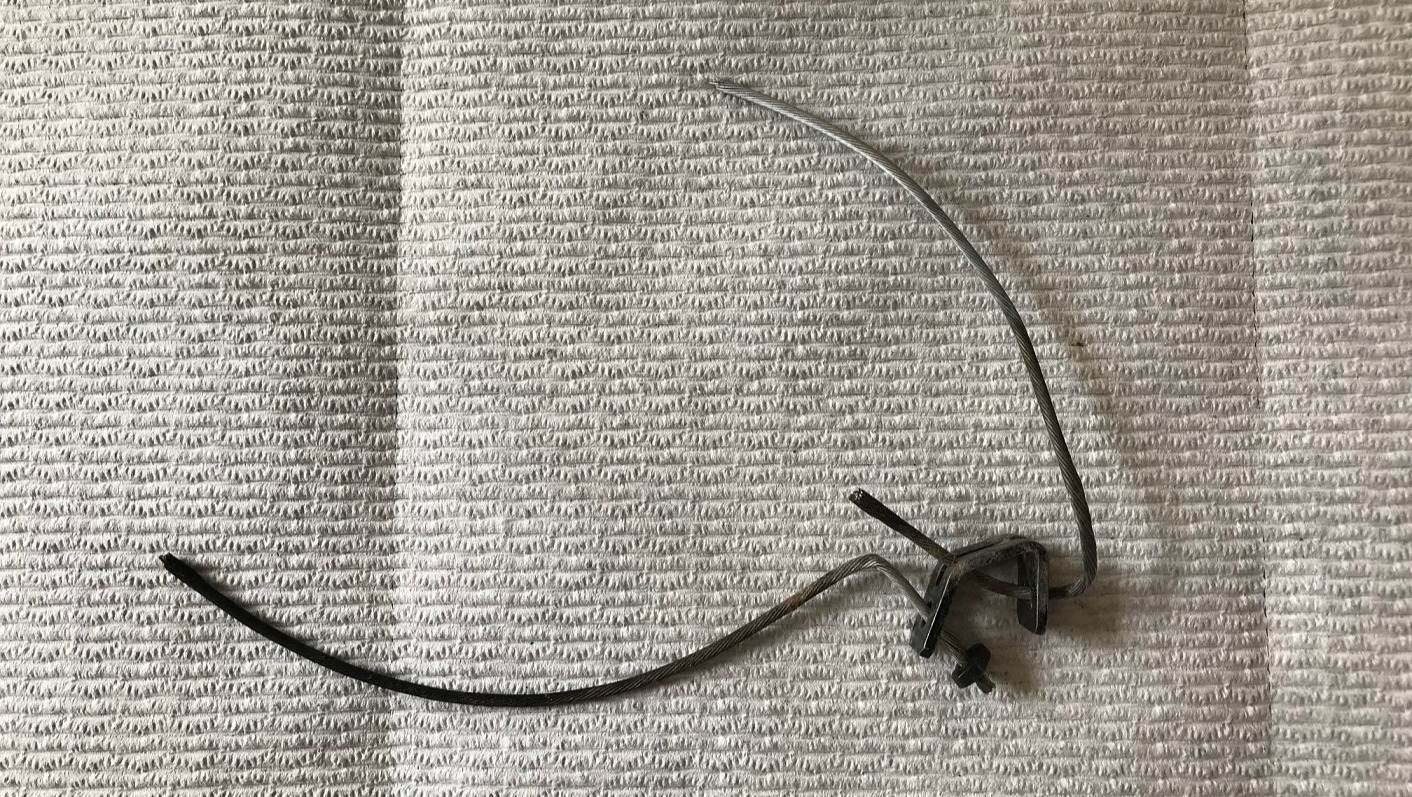 Fundraiser for Donna McClure by Tracy Burkey : Feral Cat Caught In ...