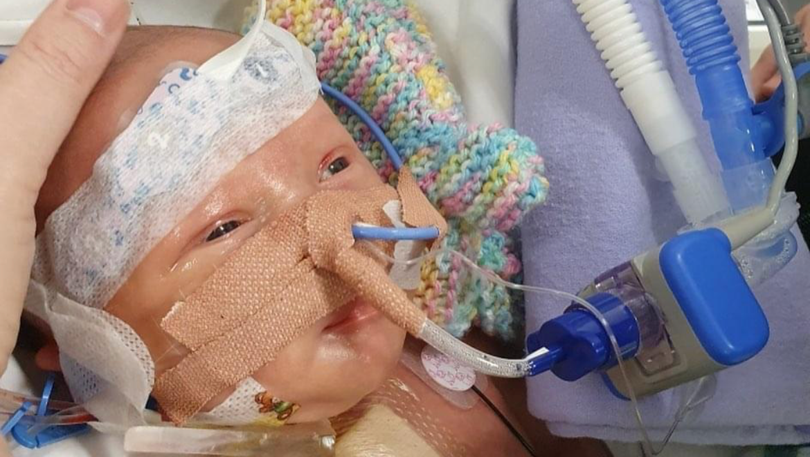 Fundraiser for Shelby Flowers by Annike Lawler : Help brave little ...