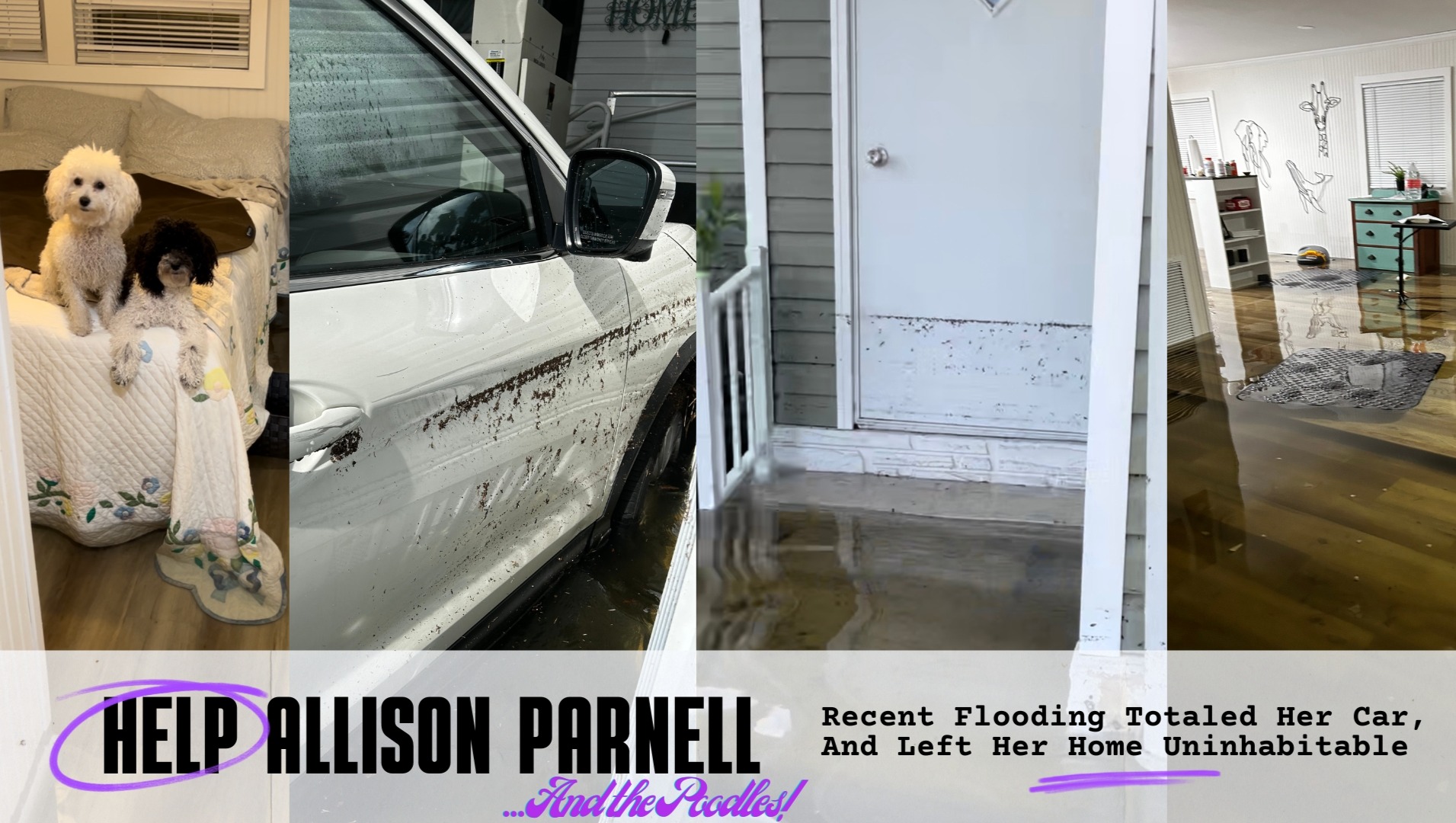 Fundraiser for Lavinia A Parnell by Jason Wetherington : Help Allison ...