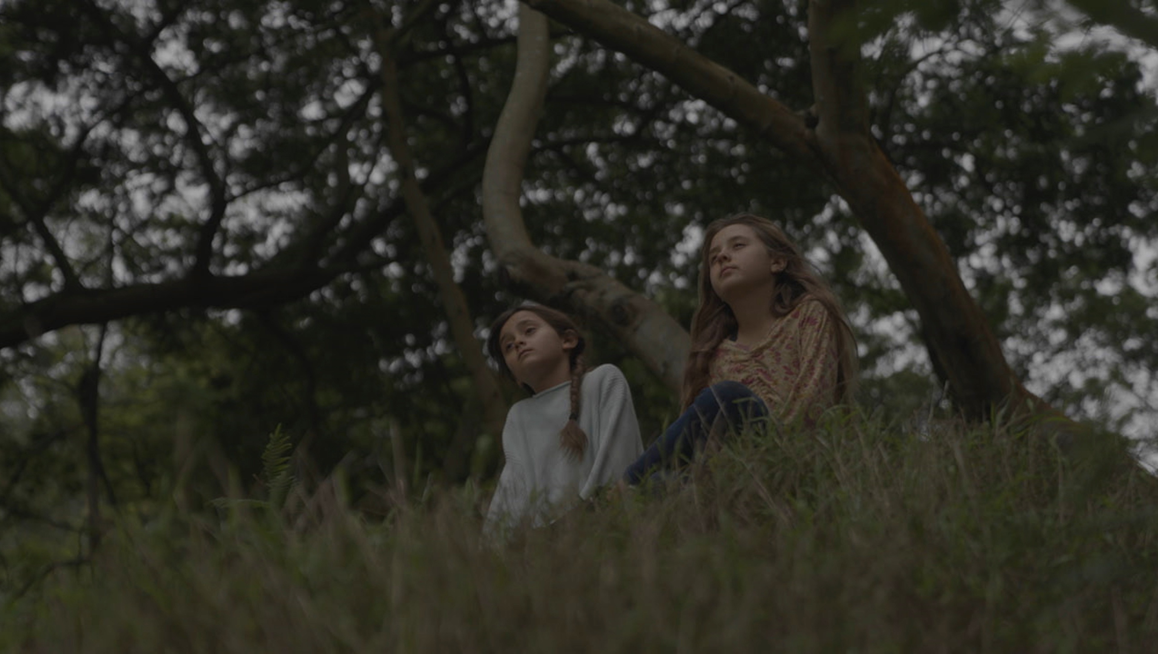 Recaudación de fondos de Macie ONeil: Macie O'Neil's Short Film :Crickets