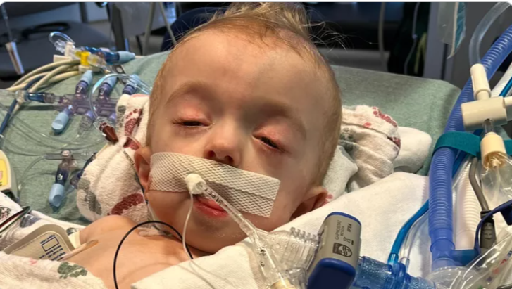 Fundraiser by Tina Jones : Medical and Funeral Expenses for Meadow Manning