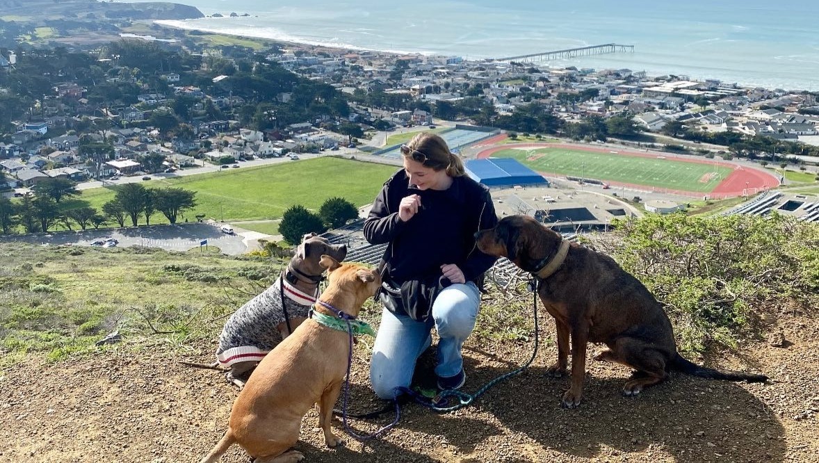 Fundraiser for Madison McNee by J. Linert : OUR DOGGIES NEED MADDIE