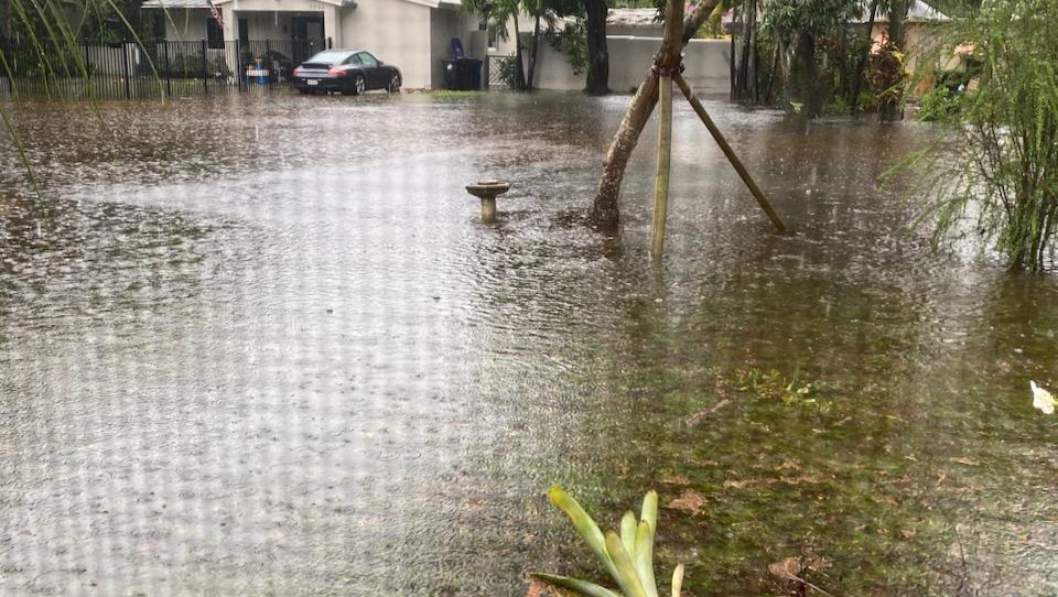 Recaudación de fondos para Stacy Rosen de Edward Zimny : Stacy's Flood