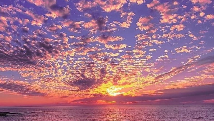 Fundraiser for Letitia Wagner by Mona Leith : Letitia Wagner Jones ...