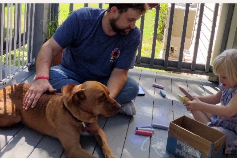 Fundraiser by Morgan Roark : Loyal dog stops robber's saves owner