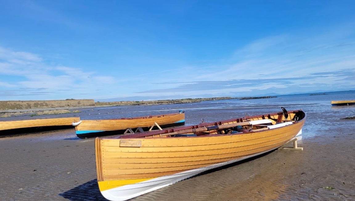 Fundraiser by Anthony Dutton : Save Bray Rowing Club