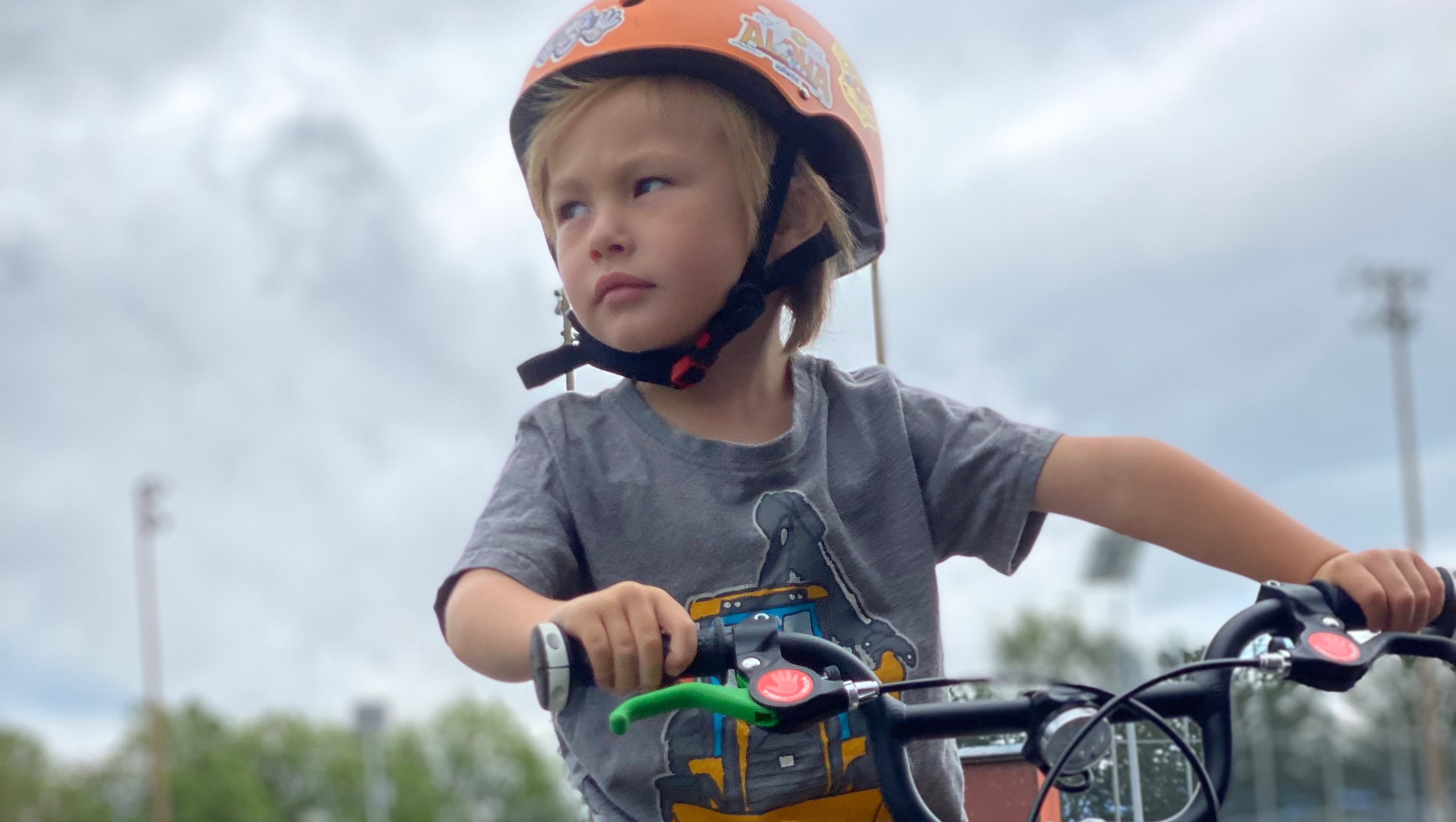 Fundraiser by Alexis Squire : Please help Magnus get his assessment