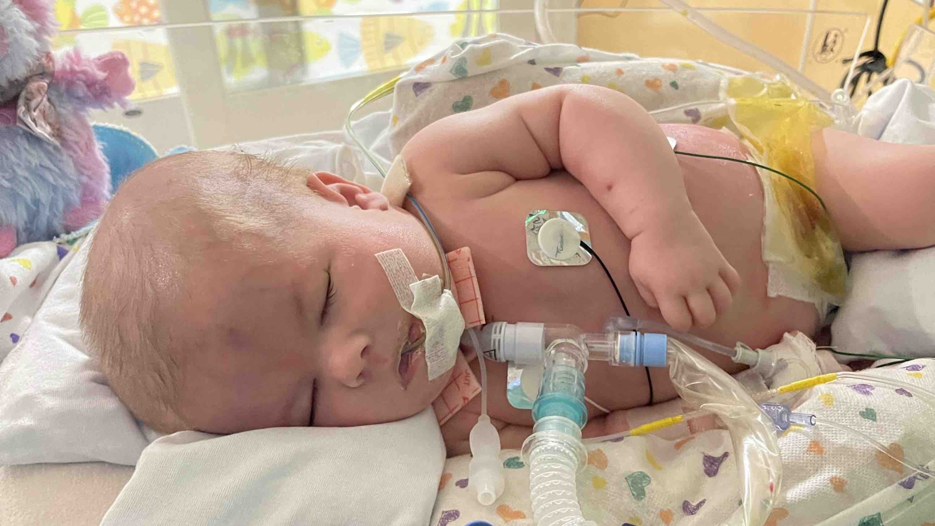 Fundraiser for Michael Bax by Kathleen Reuther : Freyjas Fight