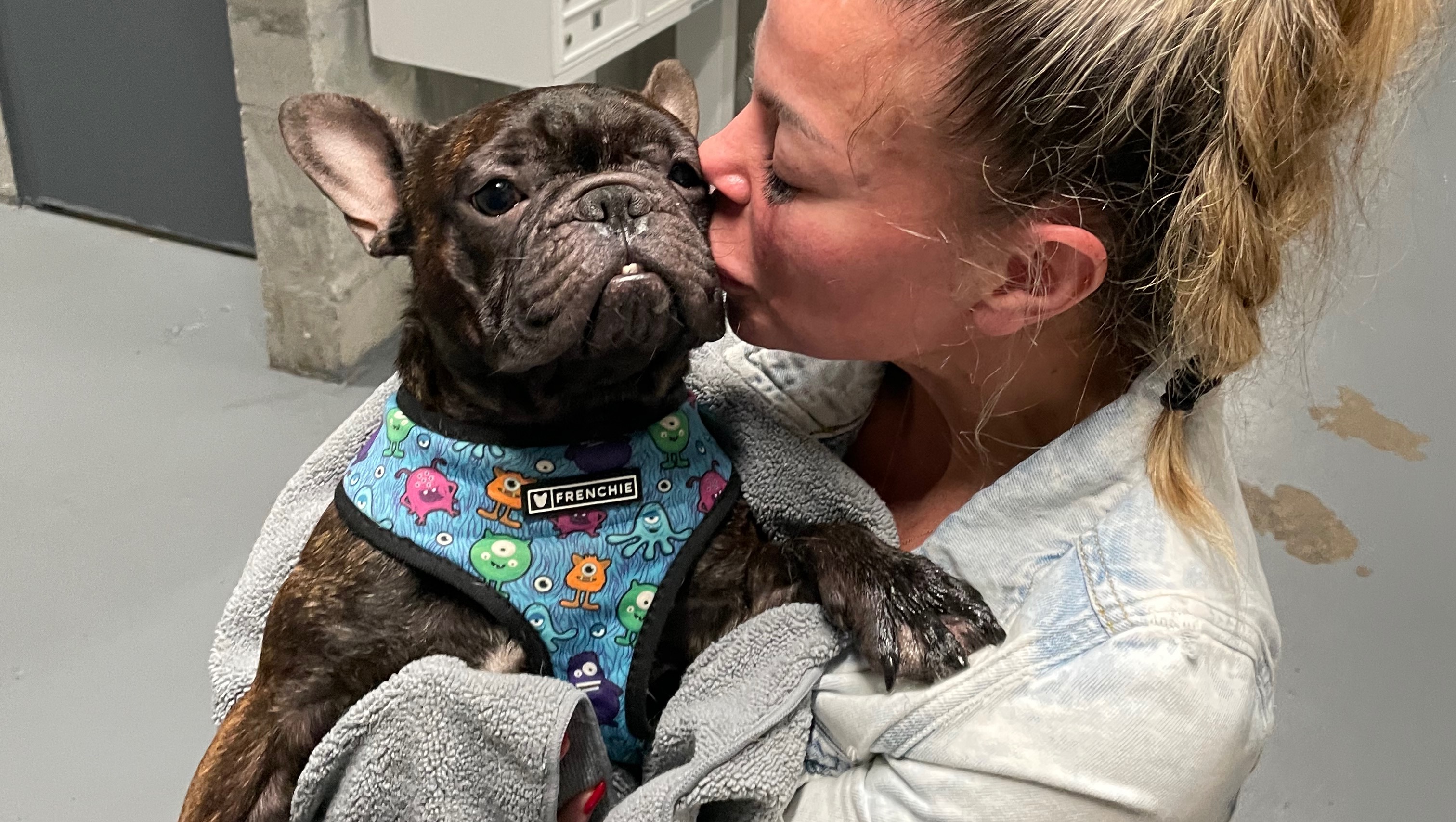 Fundraiser by Eddy Pink : Saving Toby Fund