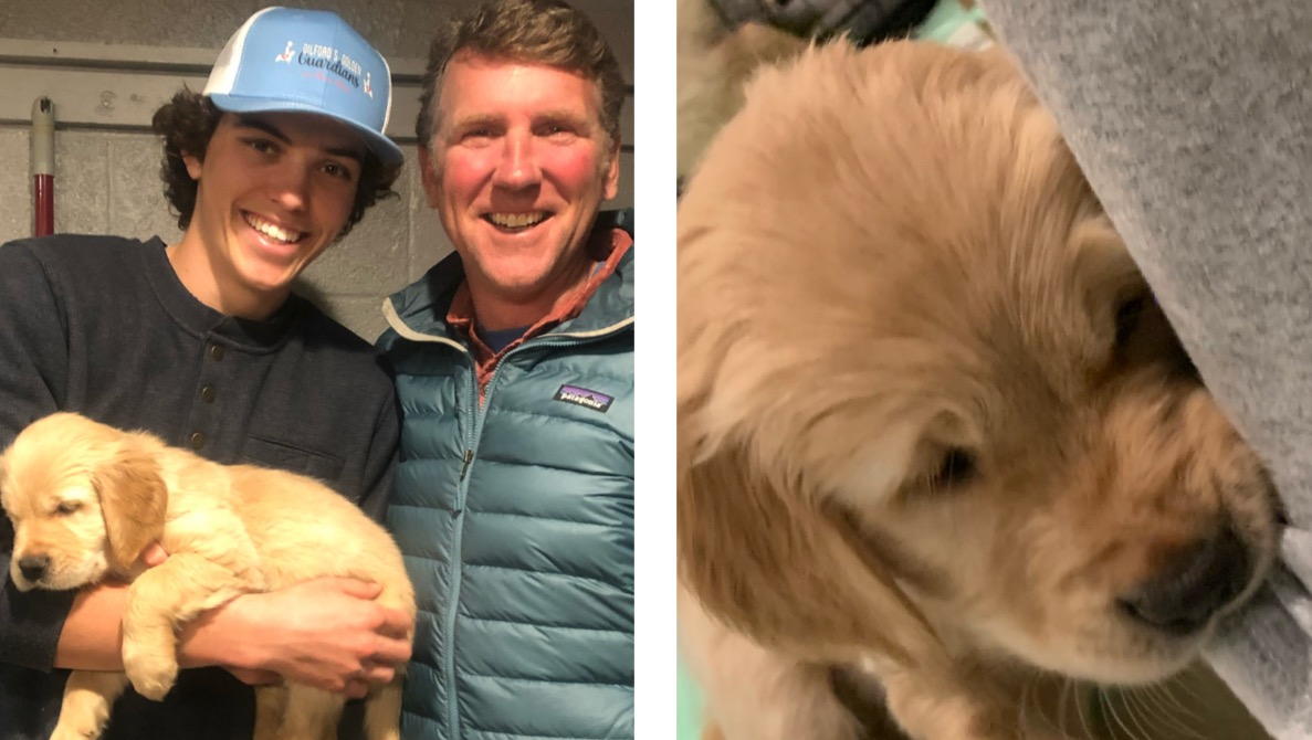 Fundraiser for Lillian Devlin by George Devlin : Diabetic-Alert Dog