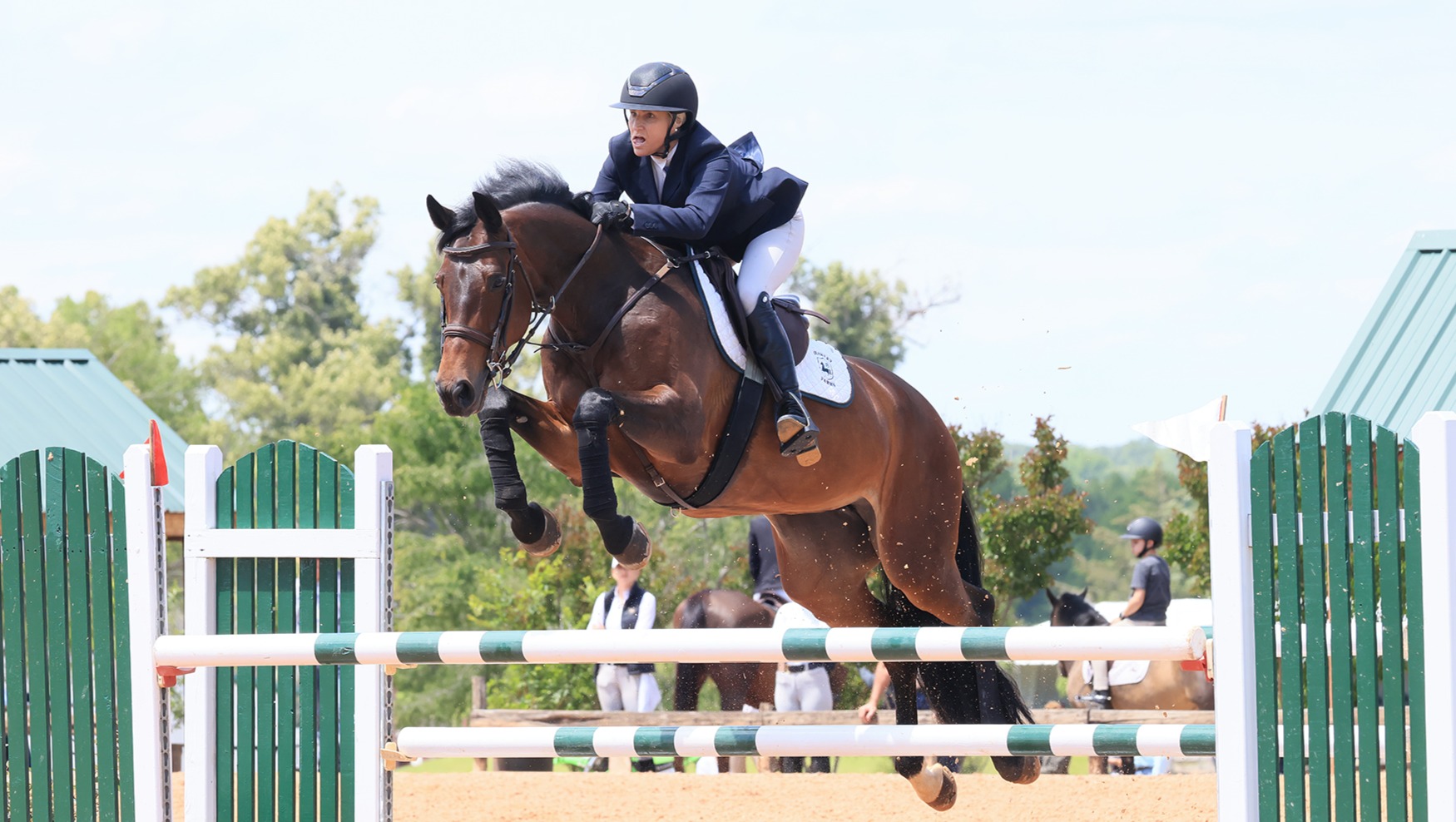 Fundraiser for Emily Williams by Morgan Brawley : Help Emily Williams ...