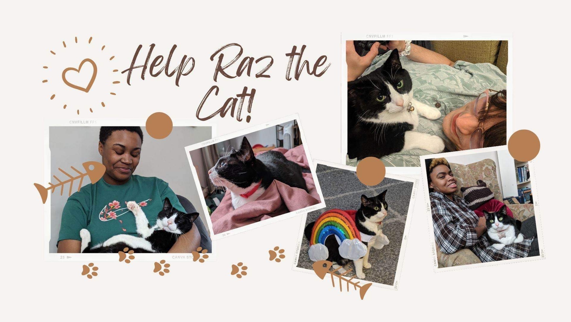 Fundraiser for Raina Nelson by Ashley K. Nicholas : Help Raz the Cat!