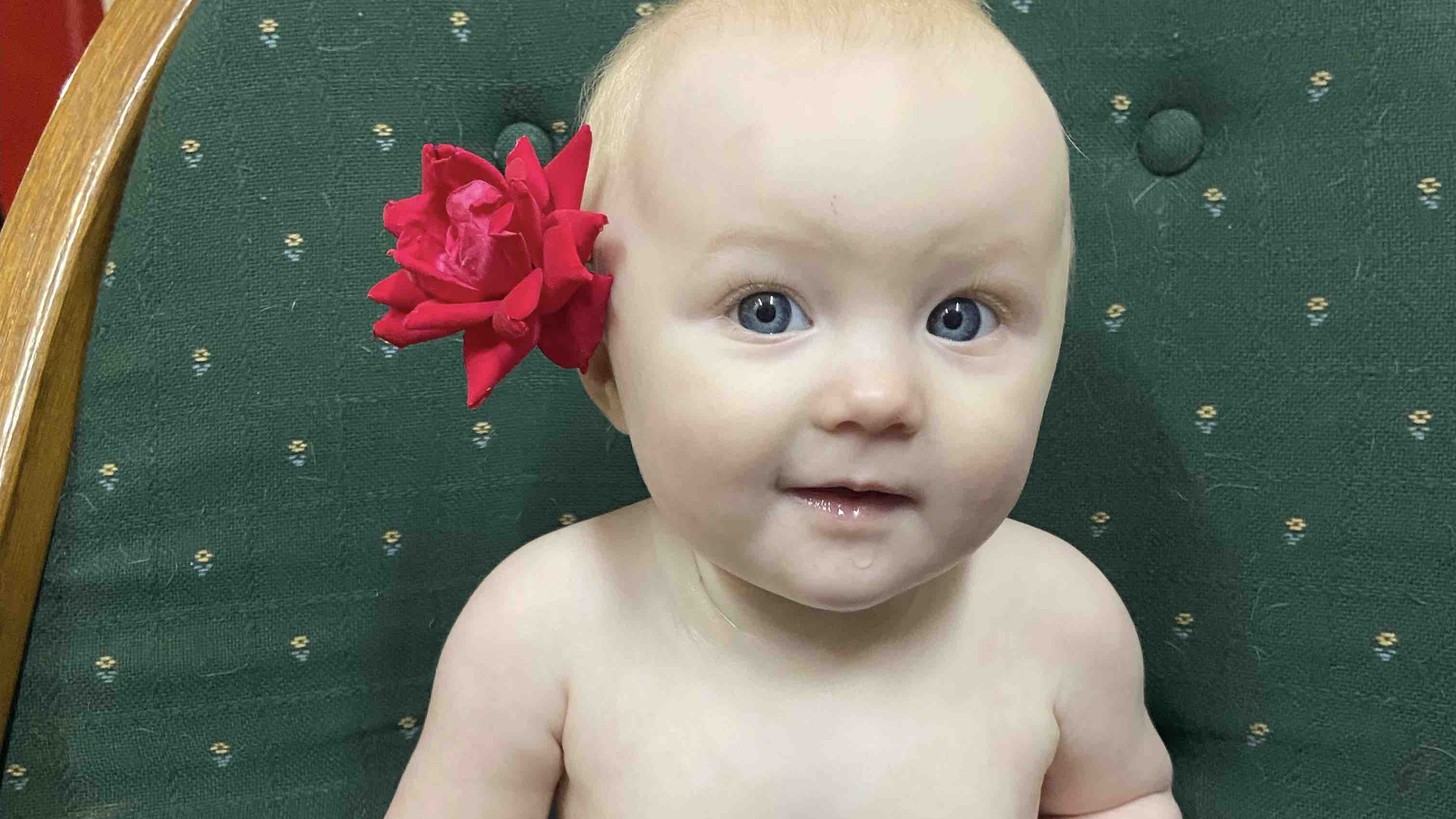 Fundraiser for Bobby Labombard by Katarina Rucker : Sweet Callie Mae # ...