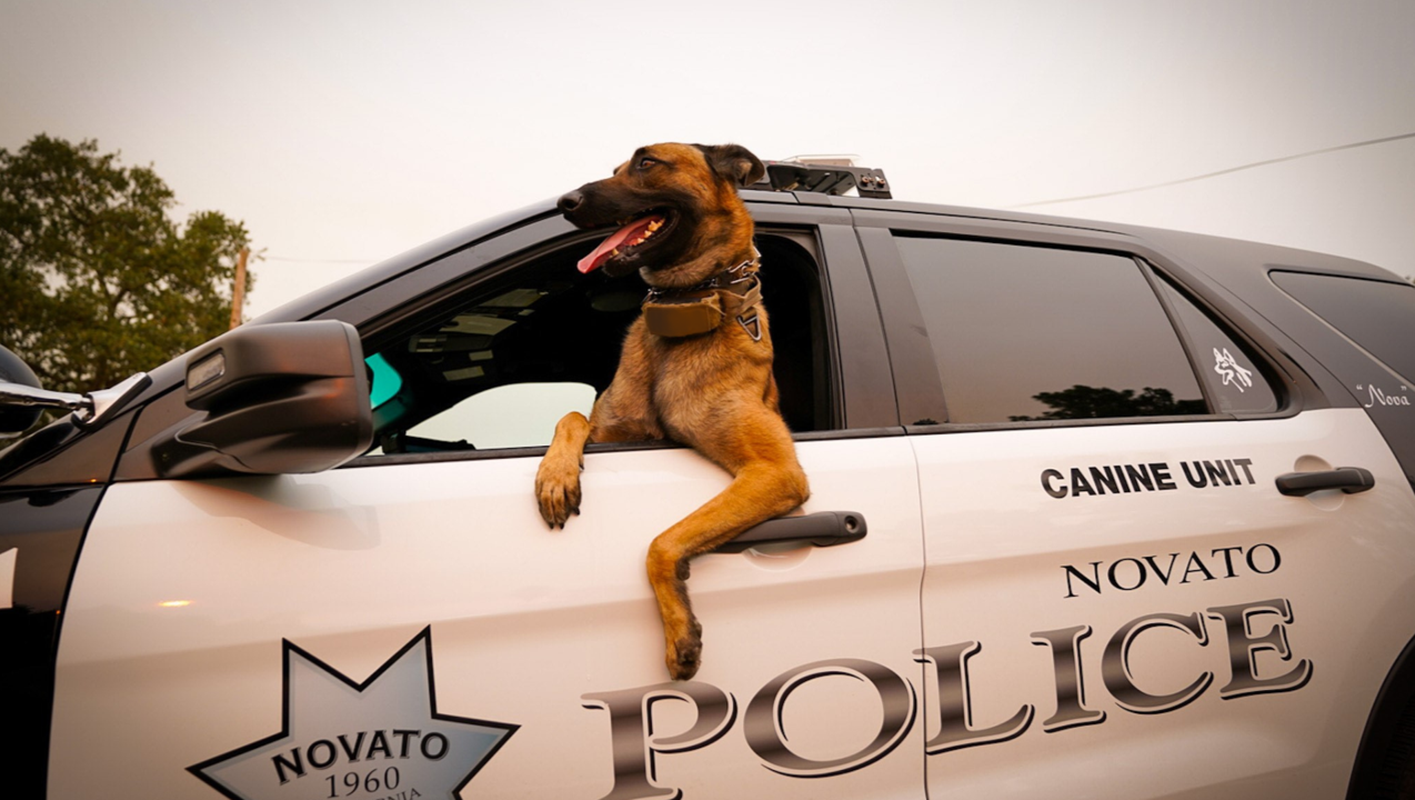 Fundraiser by Novato Police K9 Foundation : Novato Police K9 Foundation