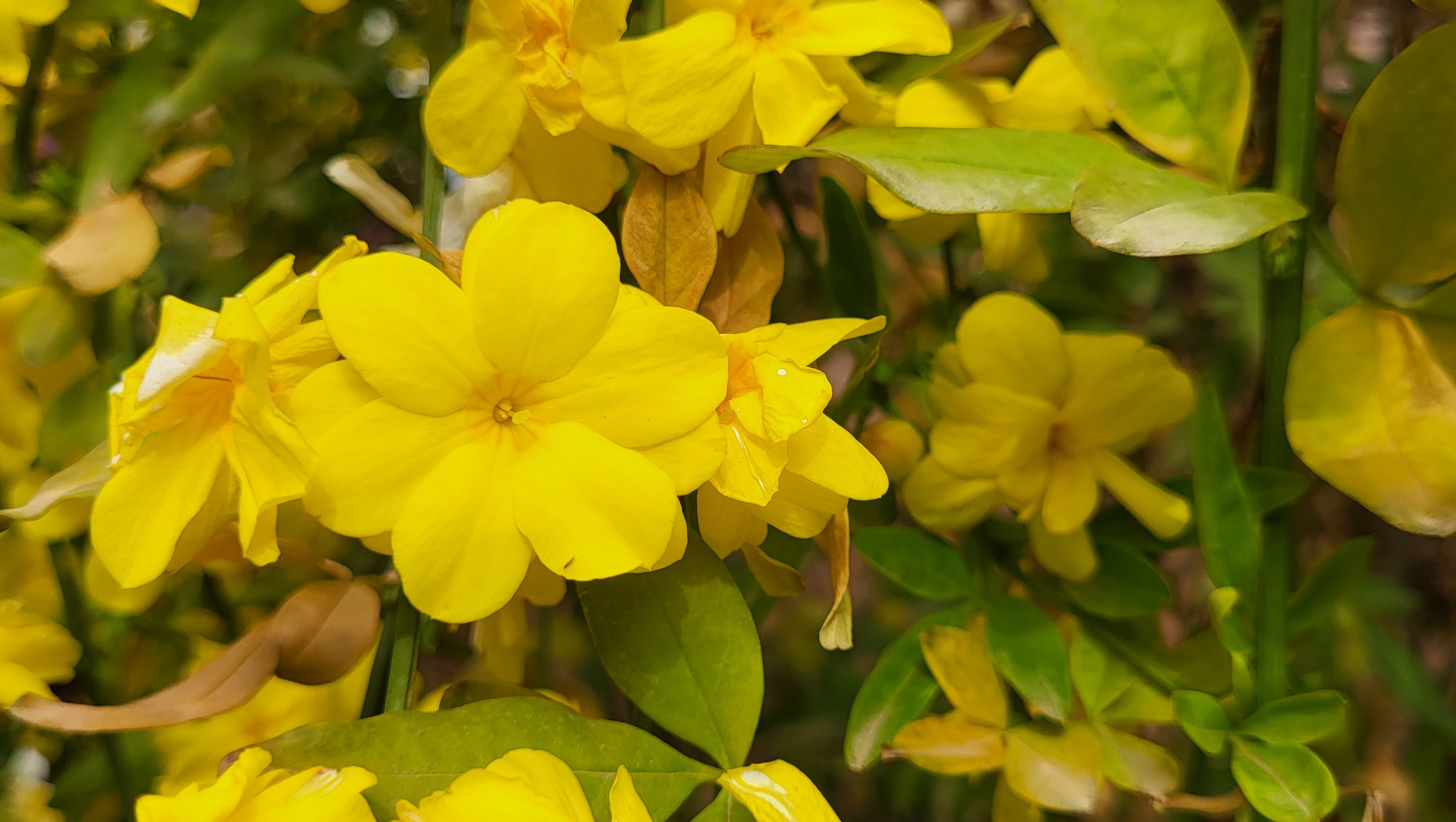 Fundraiser by Jean Barbe : Écrivain aimerait cesser d'angoisser