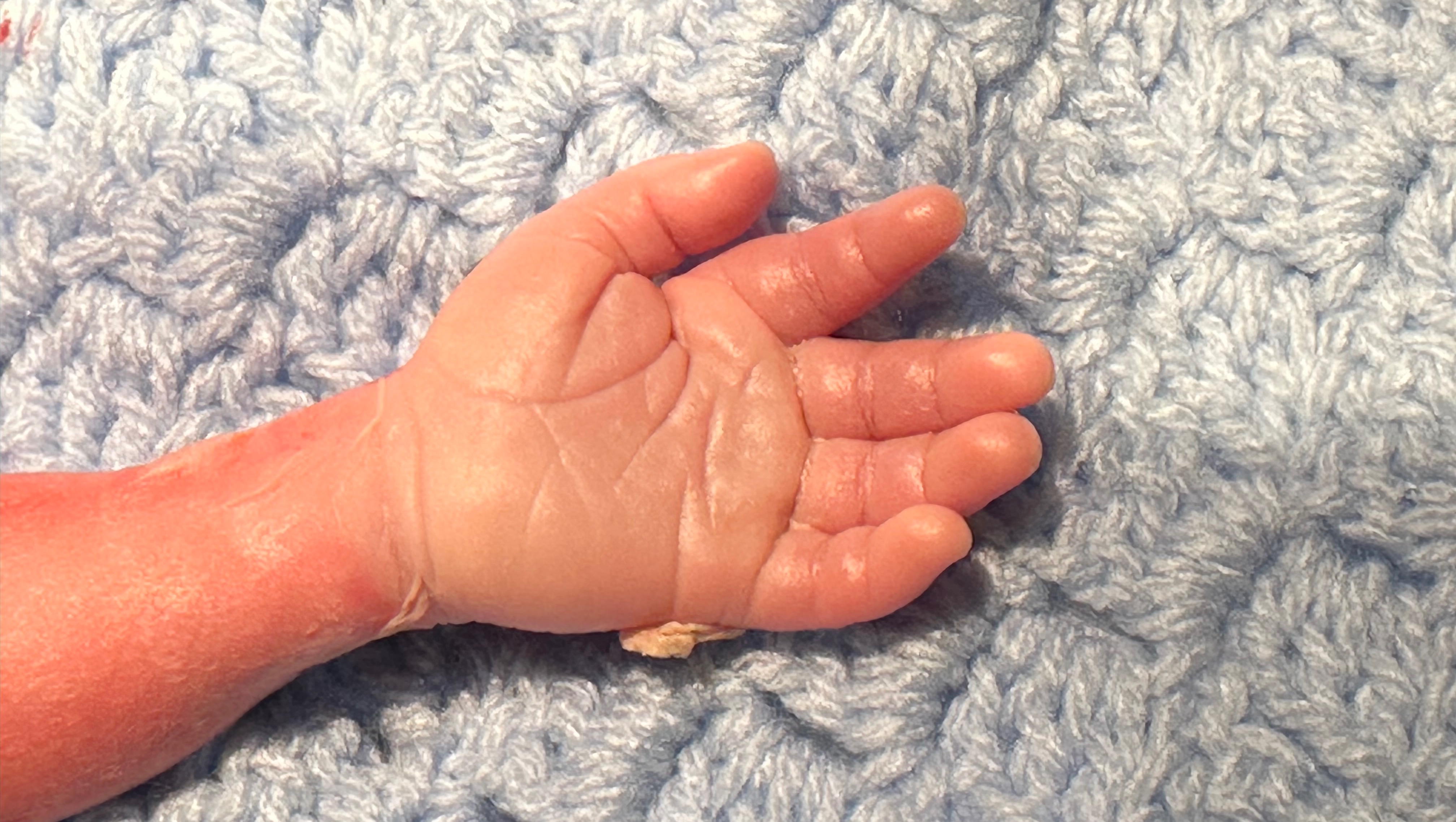 Fundraiser for Leah Reidel by Taylor Reidel : Shelly & the loss of her ...