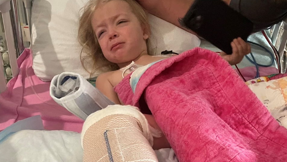 Fundraiser by TRACY SCOTT : Help for Hallie and family