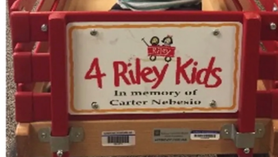 Fundraiser by Julie Spangler : Riley Wagon in memory of Tucker