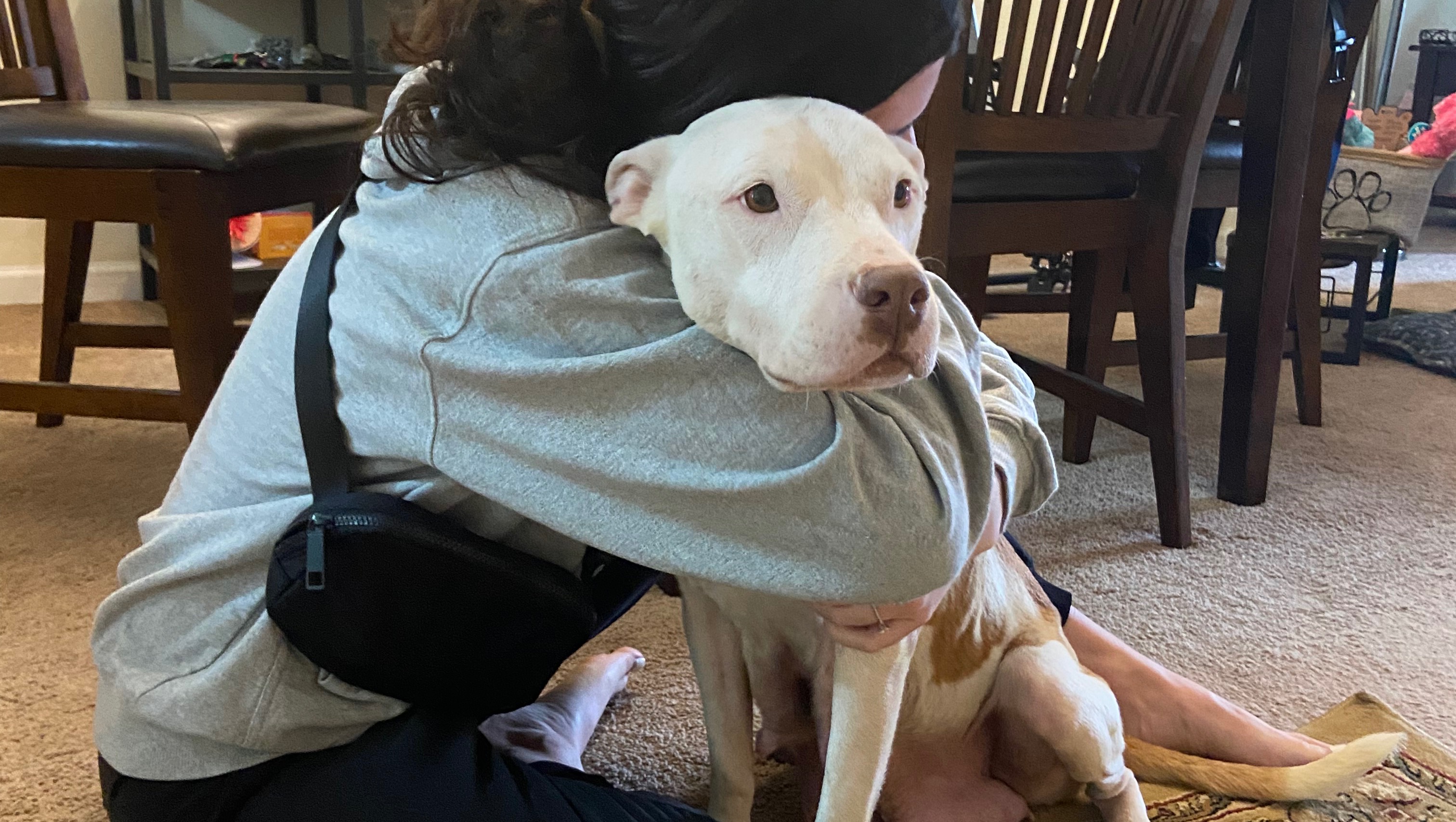 Fundraiser for Zachary Mooney by Colleen Manley : Momo (formerly Summer)