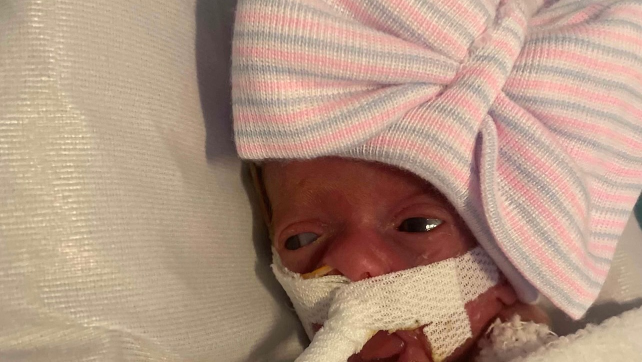 Fundraiser by Gudell Singletary : Spreading her ashes for 1 year birthday
