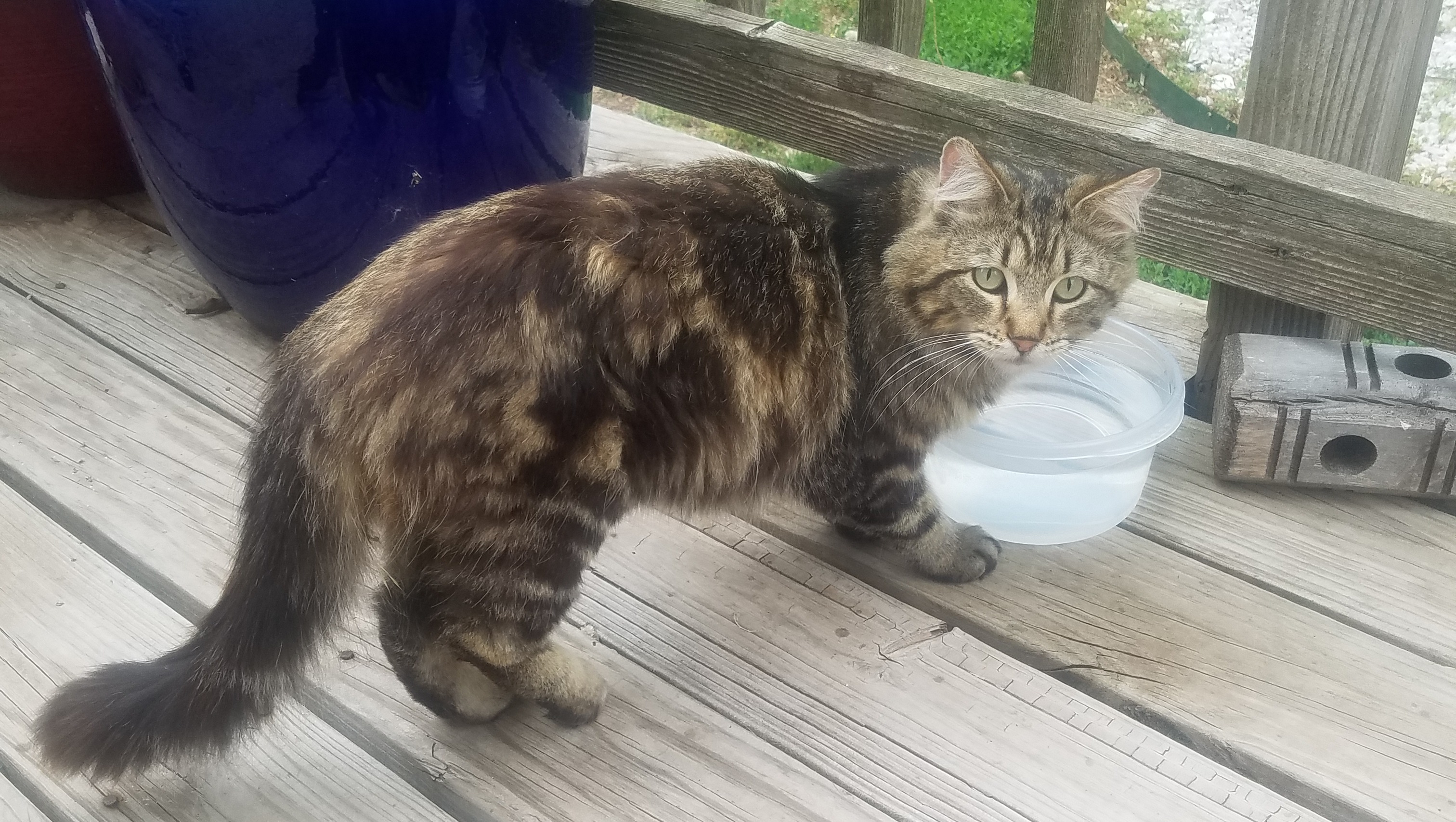 Fundraiser by Erin Ellington : Surgery for Girlfriend's broken leg