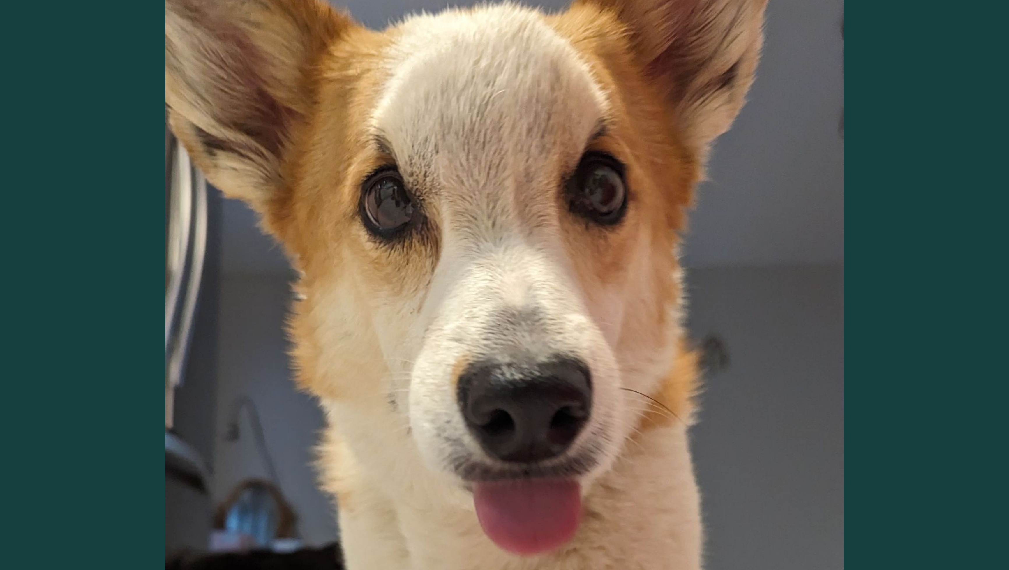 Fundraiser by Hannah Kennedy : Kaiilyn's Radiation Treatment for Nasal ...