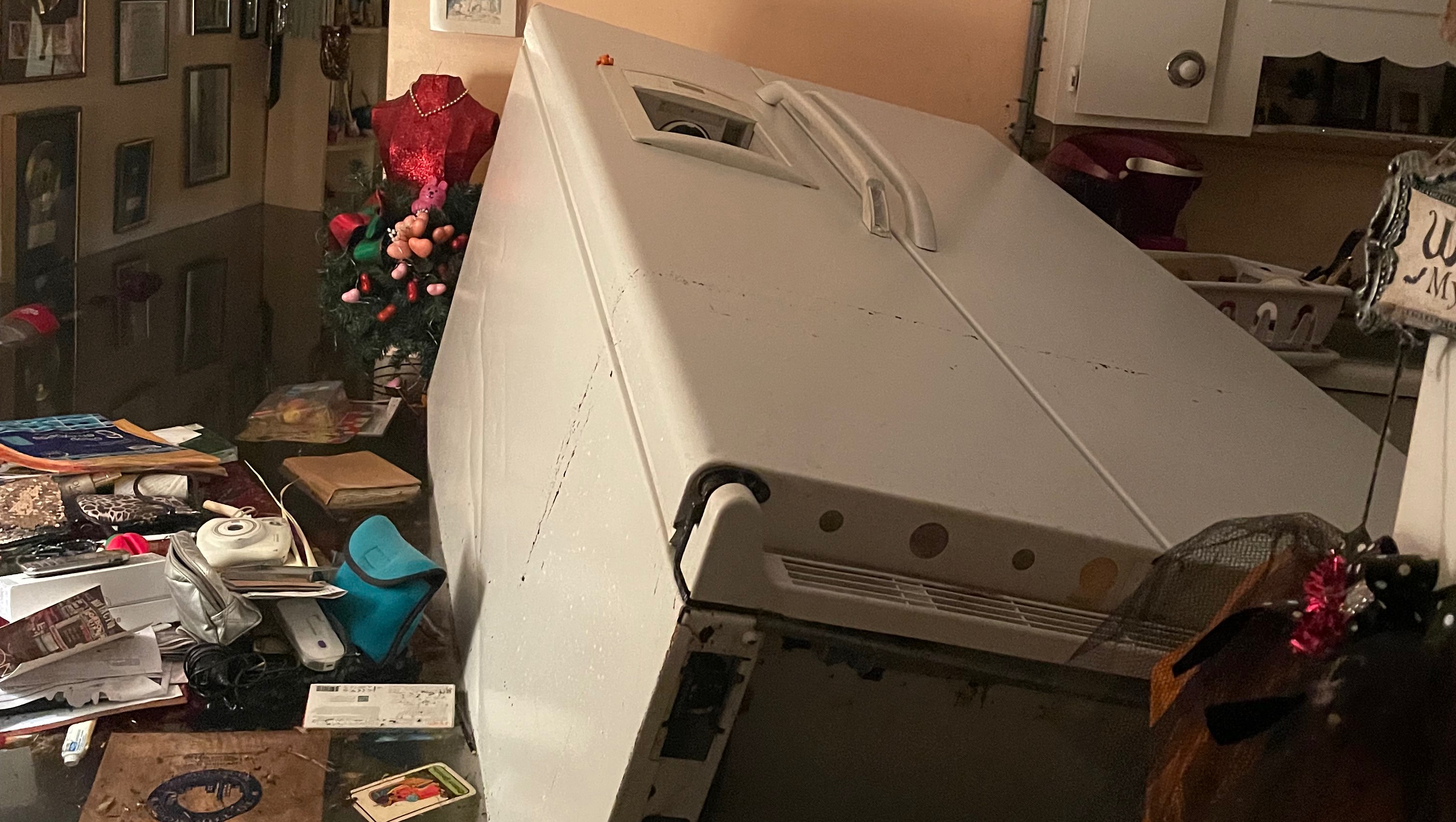 Fundraiser by Jason Cabello : Relocation and rebuilding fund for Nancy