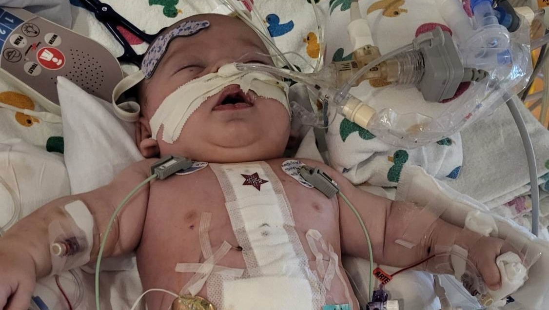 Fundraiser by Lisa Fortmann : Peyton Ziegler and Family