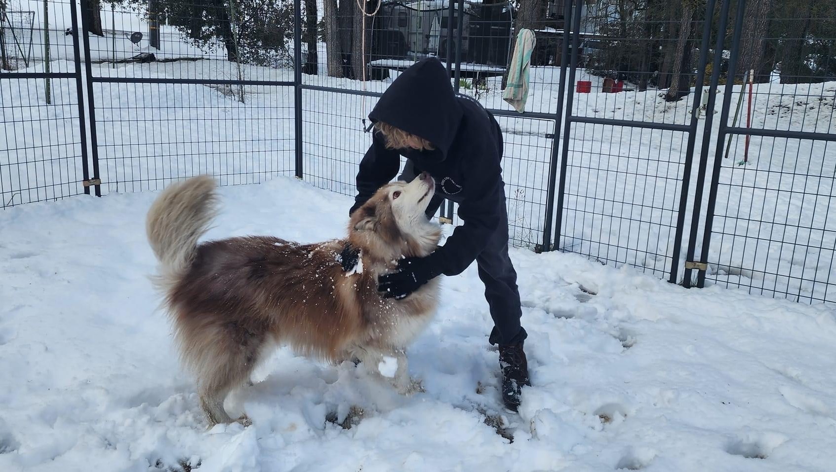 Fundraiser for Sarah Thompson by Deborah Yoder : Serious Accident ...