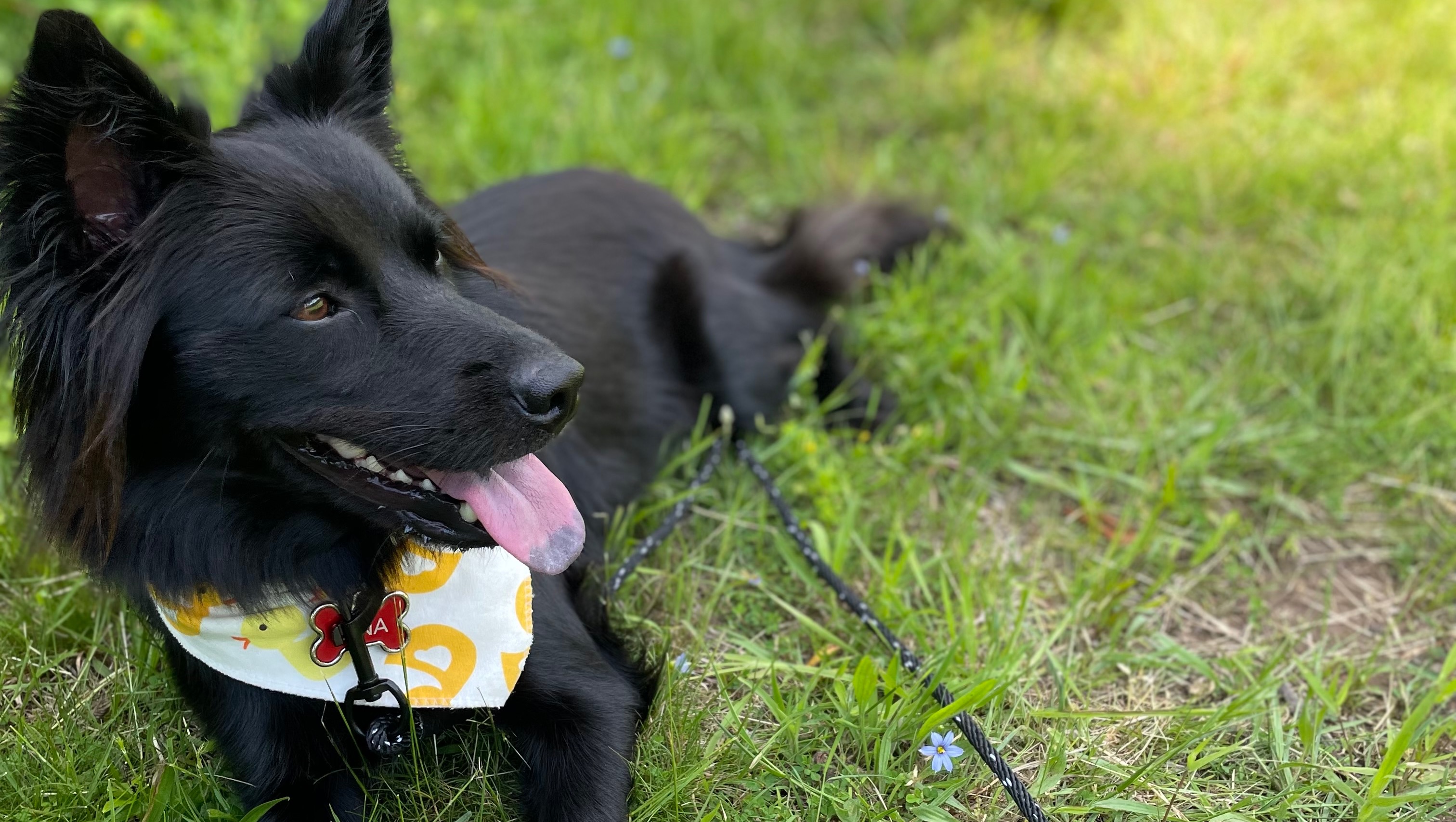 Fundraiser for Wei Yu Chen by Sophia Kuo : Help Gina Fight Lymphoma