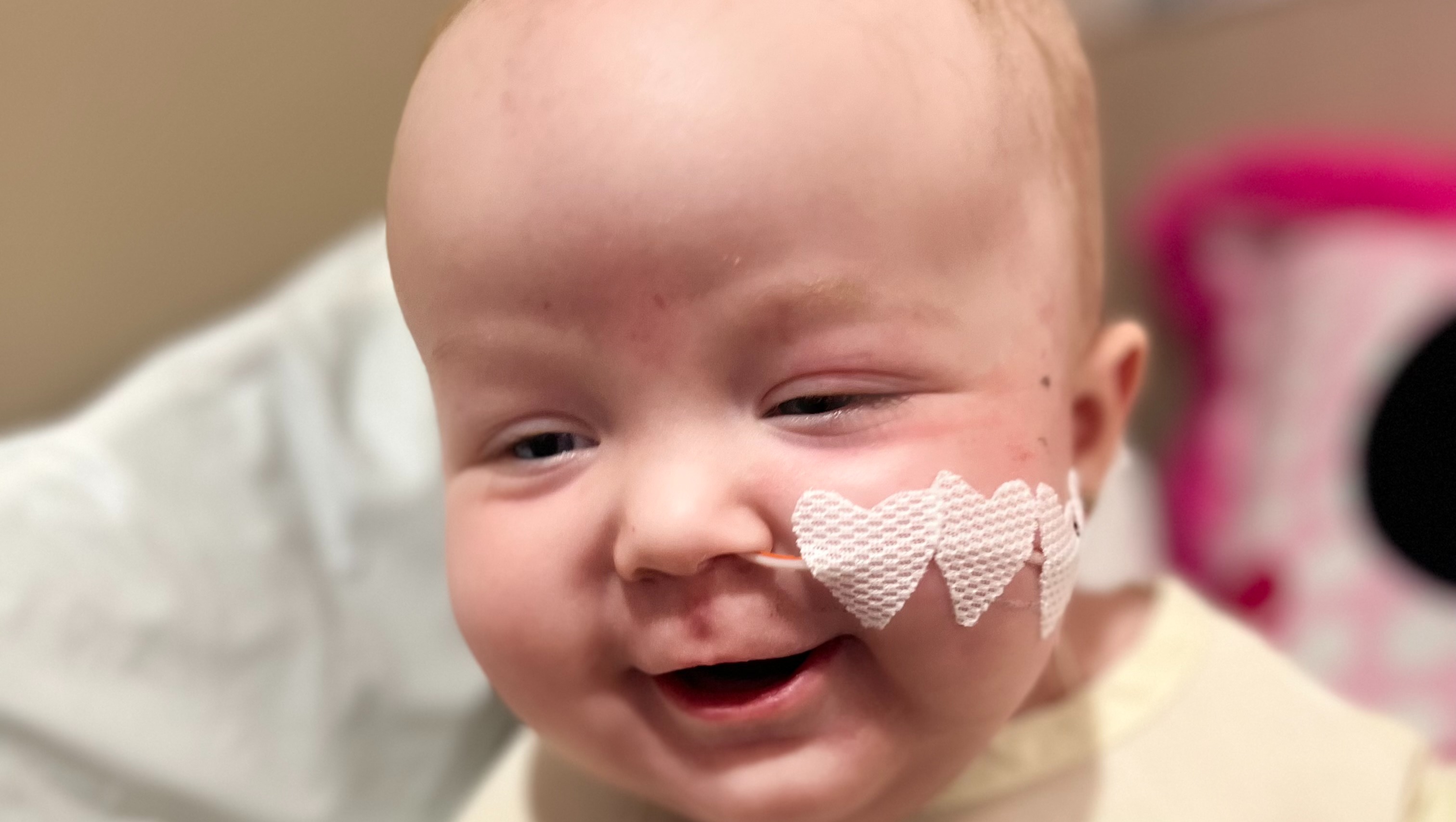 Fundraiser by Hailey Daley : Everleigh's Fight