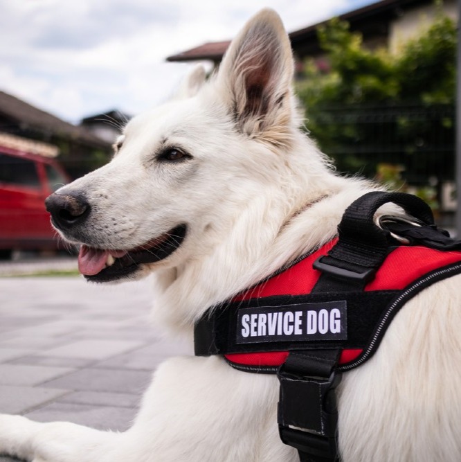 Fundraiser for Fahm Smotherman by Crystal Reid : Help James Smo get a ...