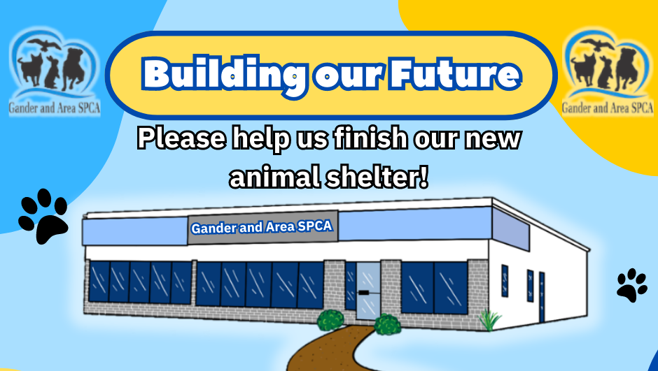 Fundraiser by Gander and Area SPCA Inc. : LET’S FINISH BUILDING OUR NEW ...