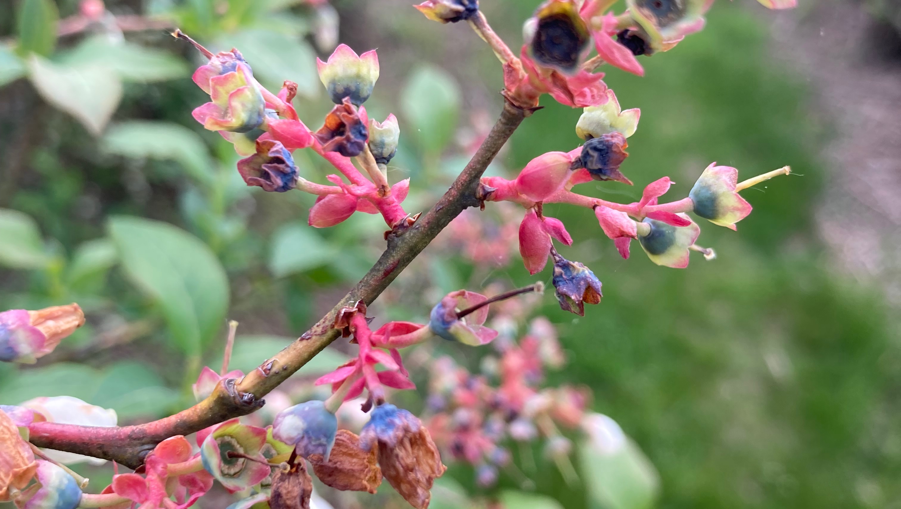 Fundraiser by Robert Sobieski : Help Fund Sobieski's River Valley Farm