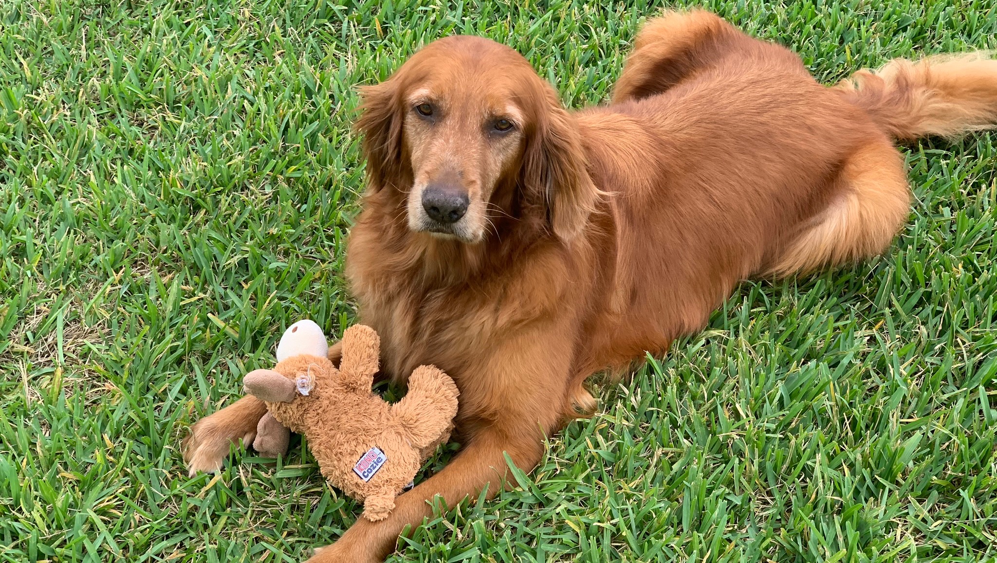 Fundraiser by Sharon Crossley : Cancer sucks