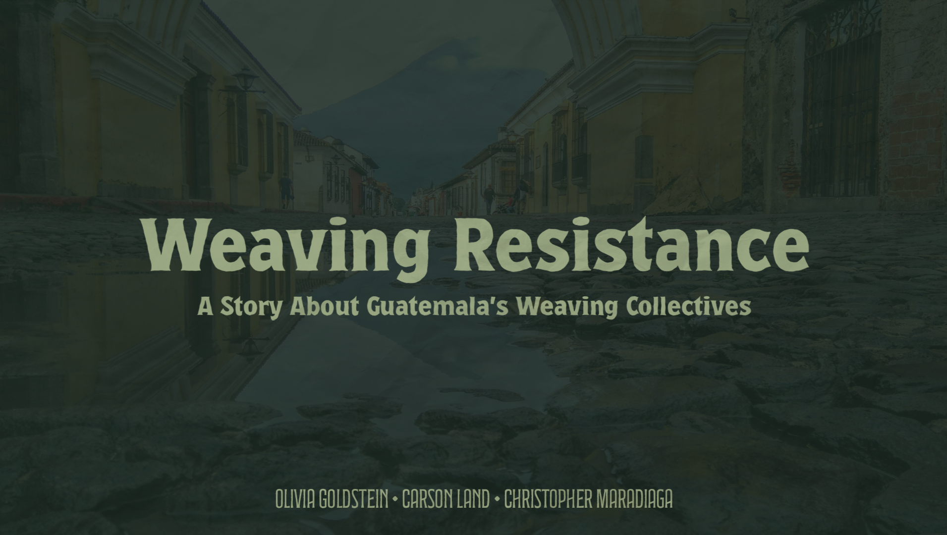 Fundraiser by Olivia Goldstein : Weaving collective documentary fund!