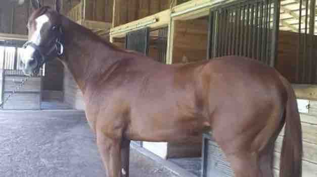 Fundraiser by Lisa Maskala Streff : Let’s Help Chrome Finish