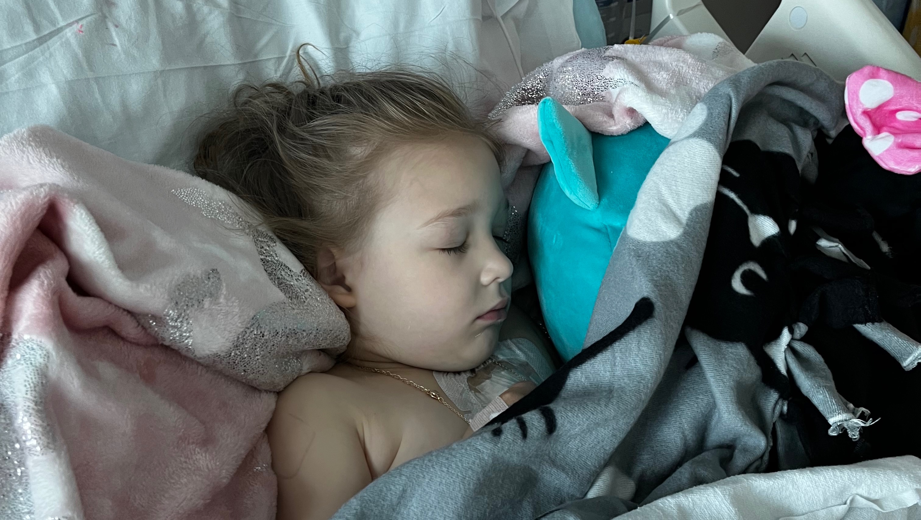 Fundraiser for Josh Brannan by Corrine Olson : Sasha Brannan