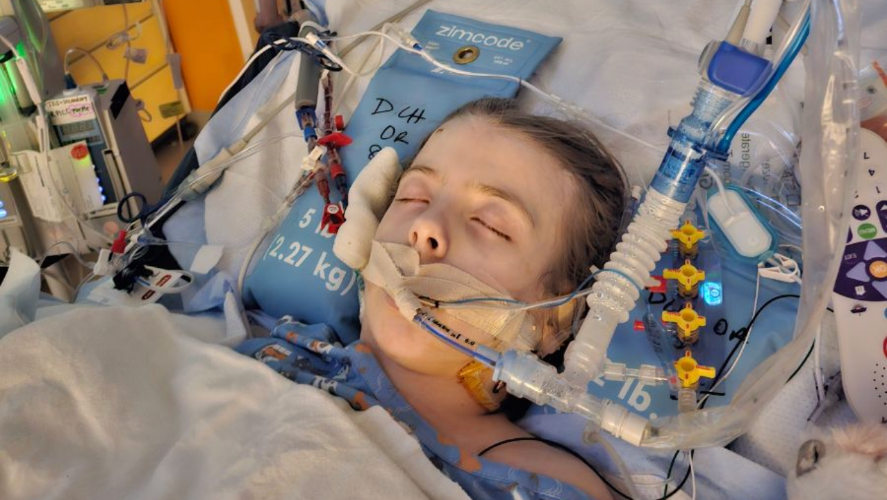 Fundraiser for Callie Miles by Sarah Linden : Help Ariana’s family