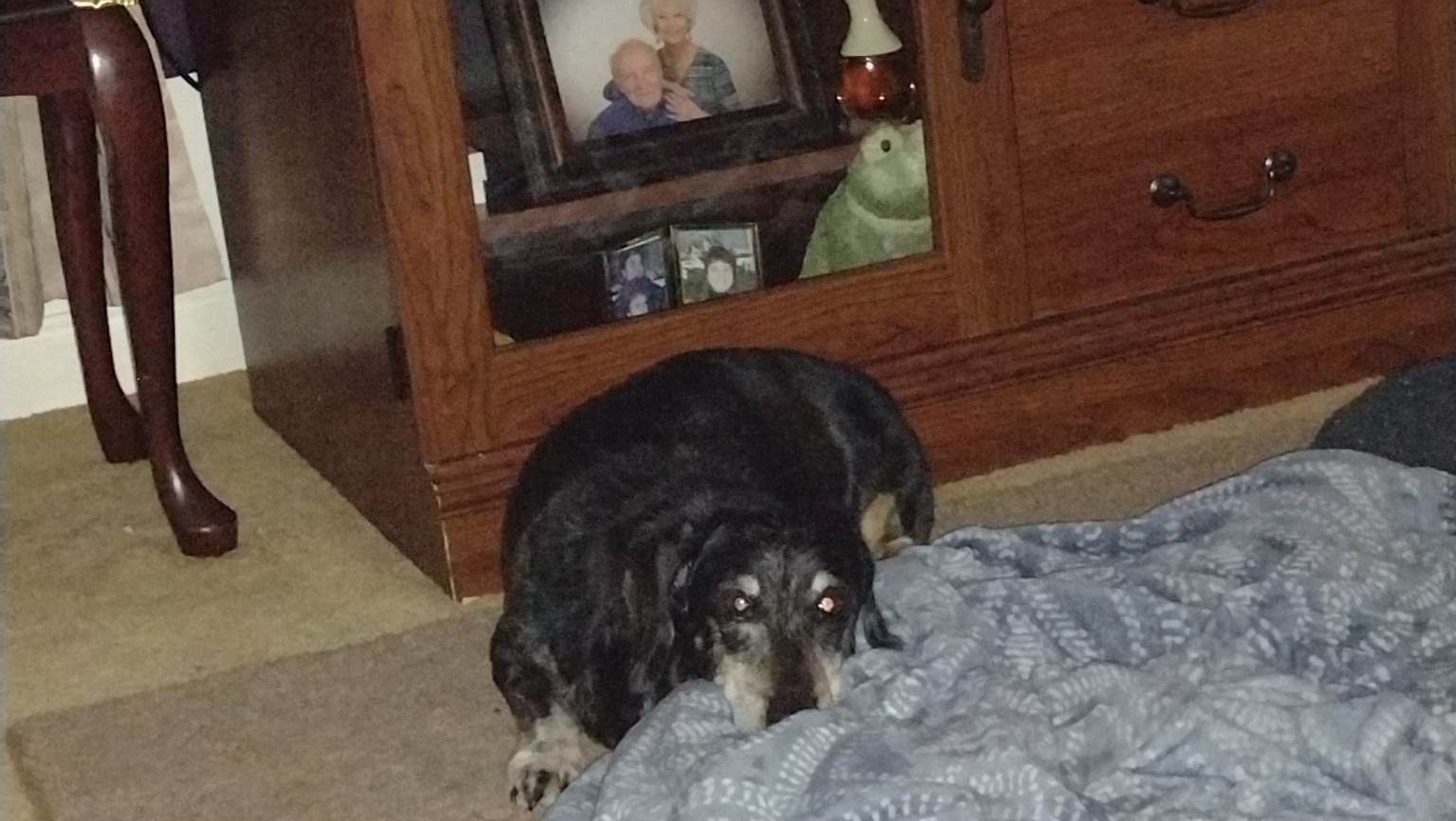 Fundraiser for Sheila Sharp by Sharon Davis : Help Renee save her house.