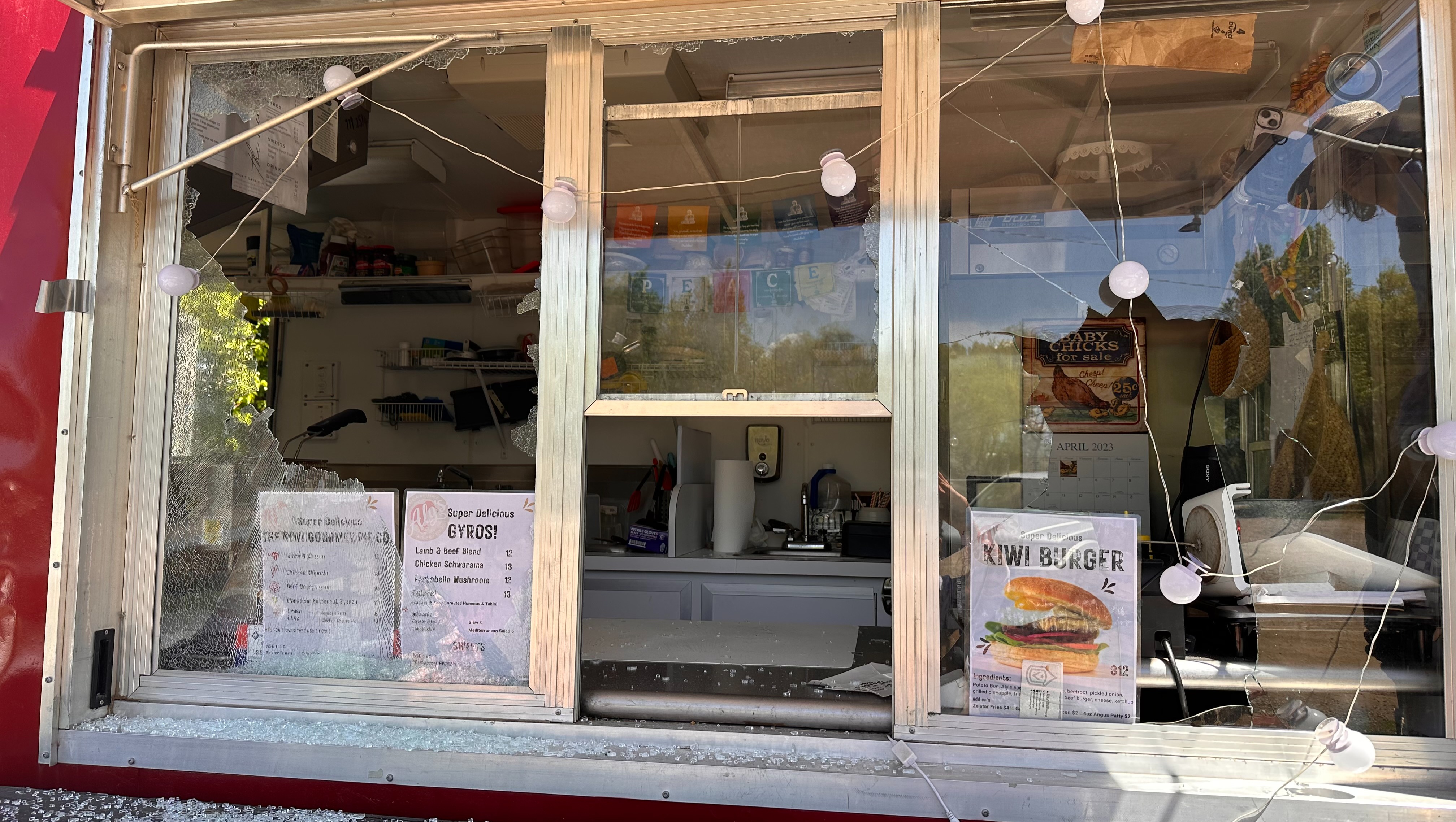 Fundraiser for Alyson Hyder by Grace Lerner : Aly's Food Cart