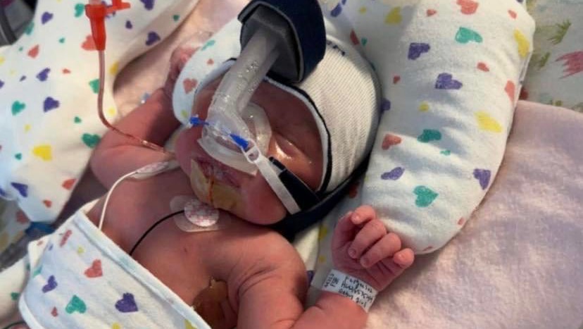 Fundraiser for Matthew Hernandez by Stephanie Ladewig : Help support ...