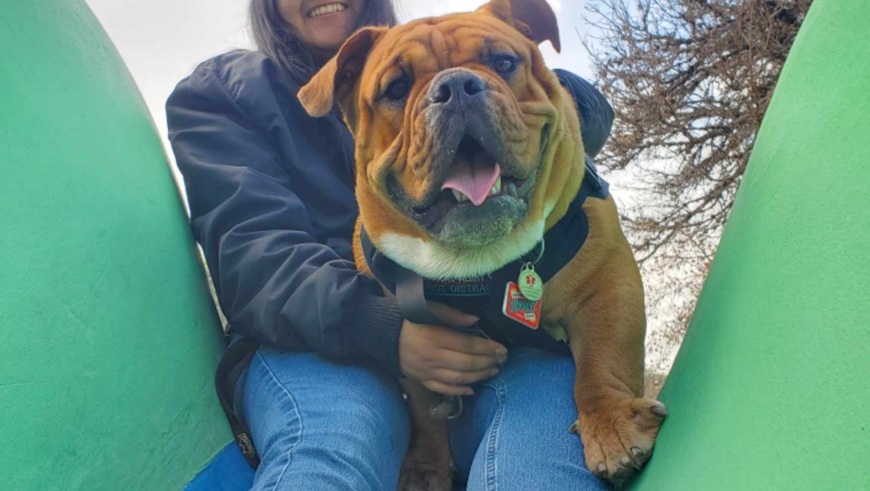 Fundraiser by Angela Maria : Chewbacca Surgery Debt Fund