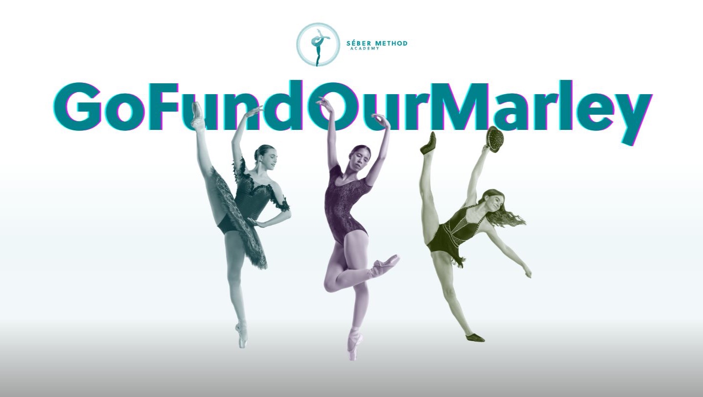 Fundraiser by Séber Method Academy : GoFundOurMarley with Dancewear
