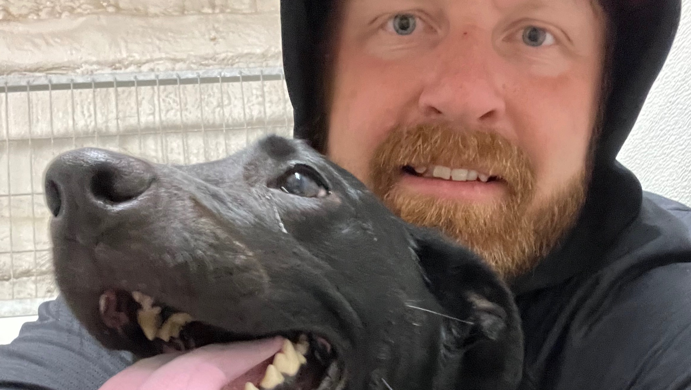 Fundraiser by Gregory Quinten Kight : Service Dog for Military Retired ...