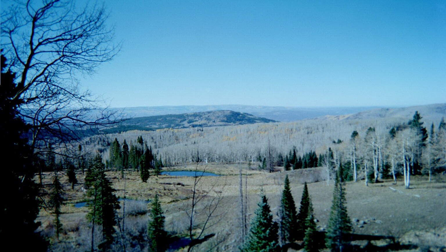 Fundraiser by Edie Apke : TCF Homeowners Legal Defense Fund