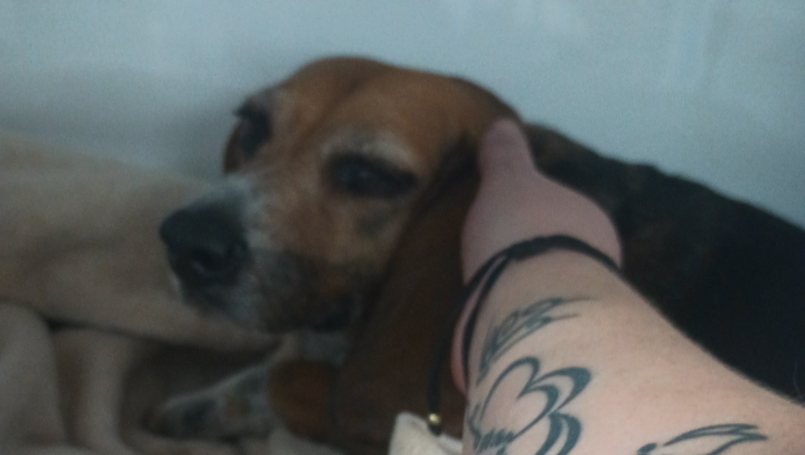 Fundraiser for Gail Raines by Crystal Killian : House fire and ...