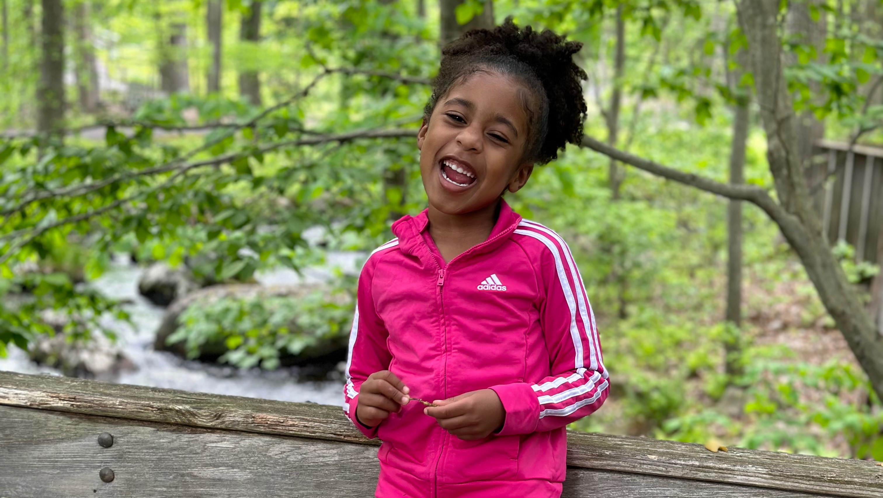 Fundraiser for Alexandra Castillo by Tiffany Almonte : Paisley’s Burial ...