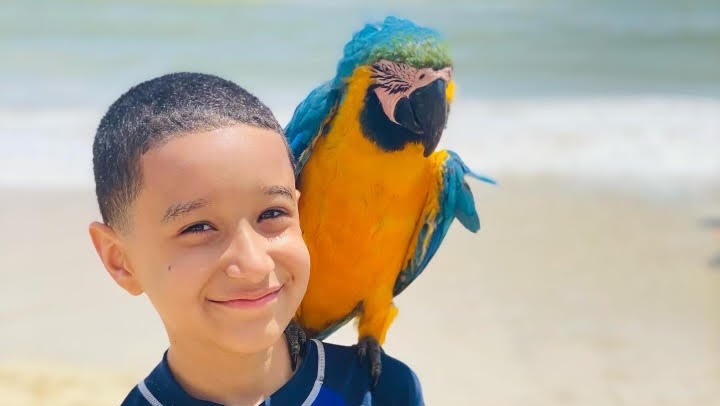 Fundraiser by Marcela Wittmann : Mason's Recovery